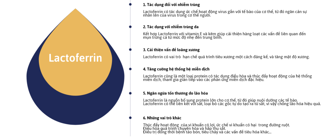 Immune Defence + Lactoferrin